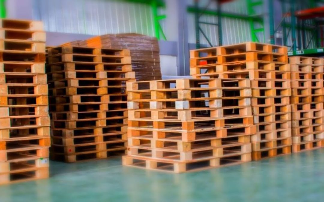 Ventajas de Elegir Tarimas de Plástico en Monterrey para tu Negocio ...