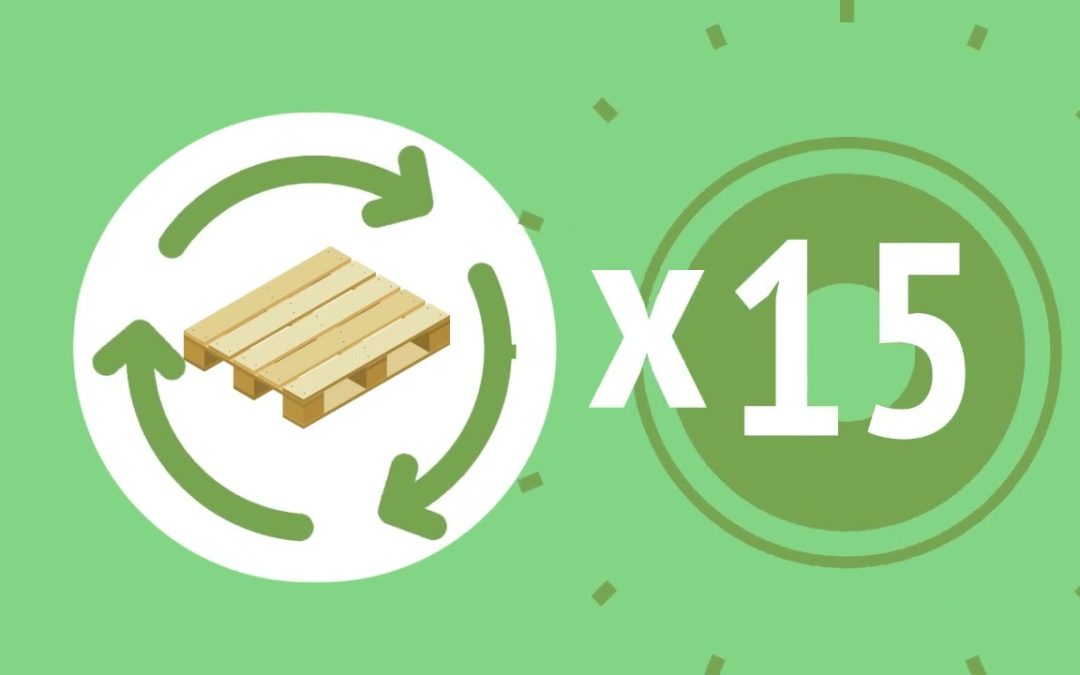 Descubre los Beneficios Ambientales de Usar Pallets de PVC en tu ...